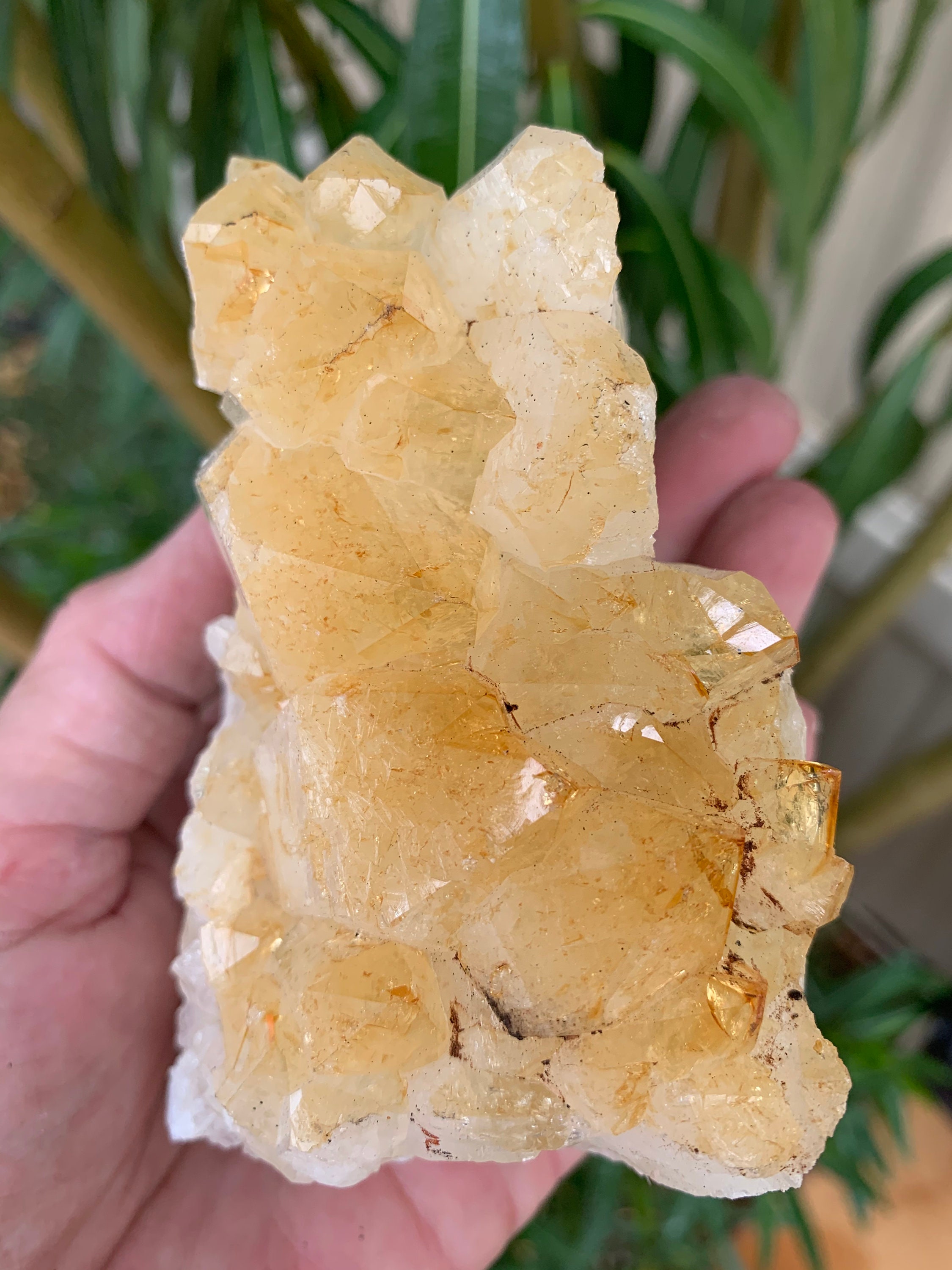 Citrine Geode Piece FREE SHIPPING | Etsy
