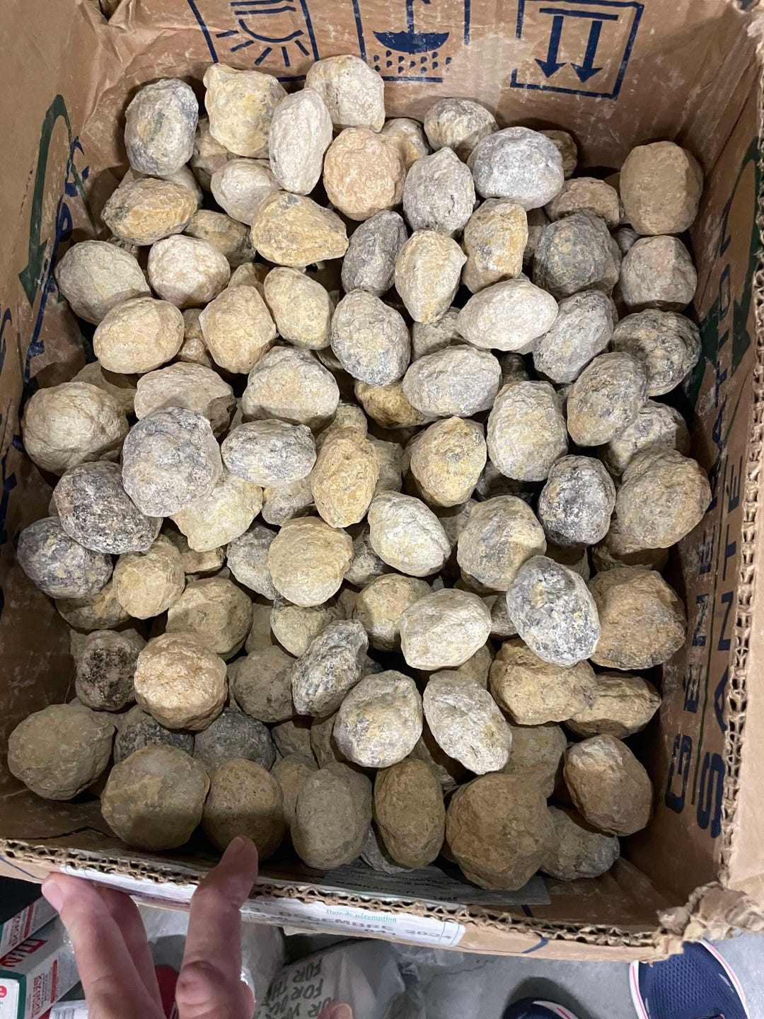 25 Unopened Geodes Crystal Quartz Geodes - Etsy