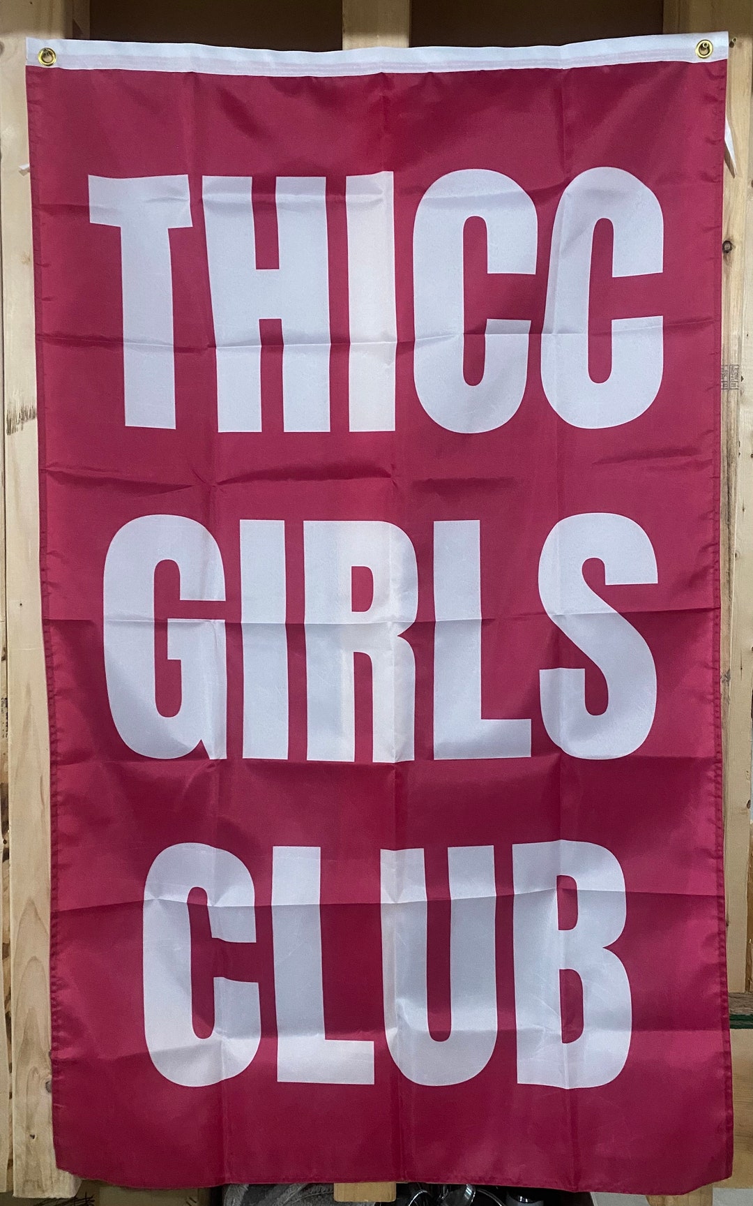 Fitness Motivation Pink Girl Power Flag FREE USA SHIP Thicc Girls Club ...