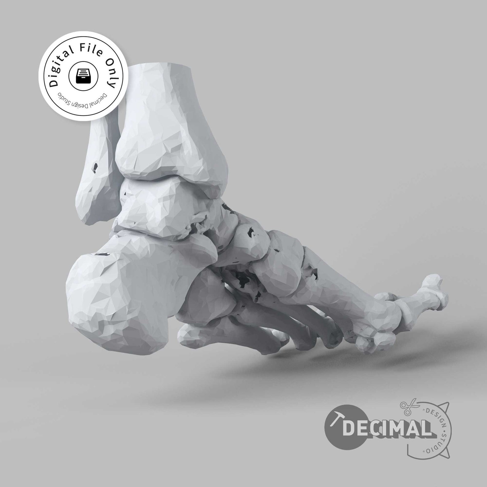 Talus | Bone | Medical | Talus Model | Bone Model | Talus 3D Model ...