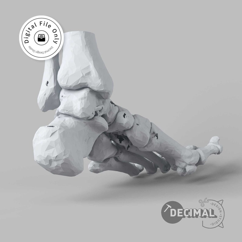 Talus | Bone | Medical | Talus Model | Bone Model | Talus 3D Model ...