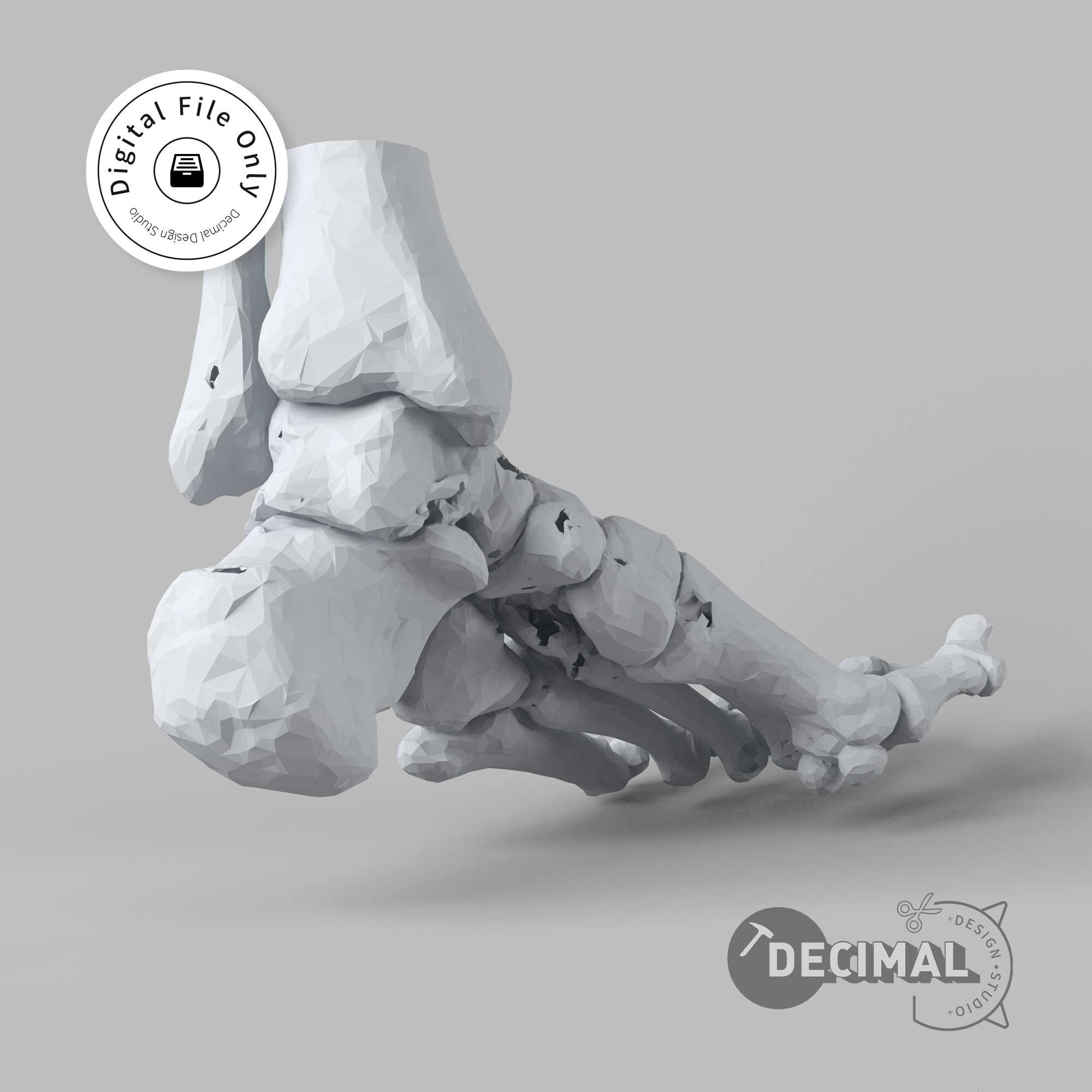 Talus | Bone | Medical | Talus Model | Bone Model | Talus 3D Model ...