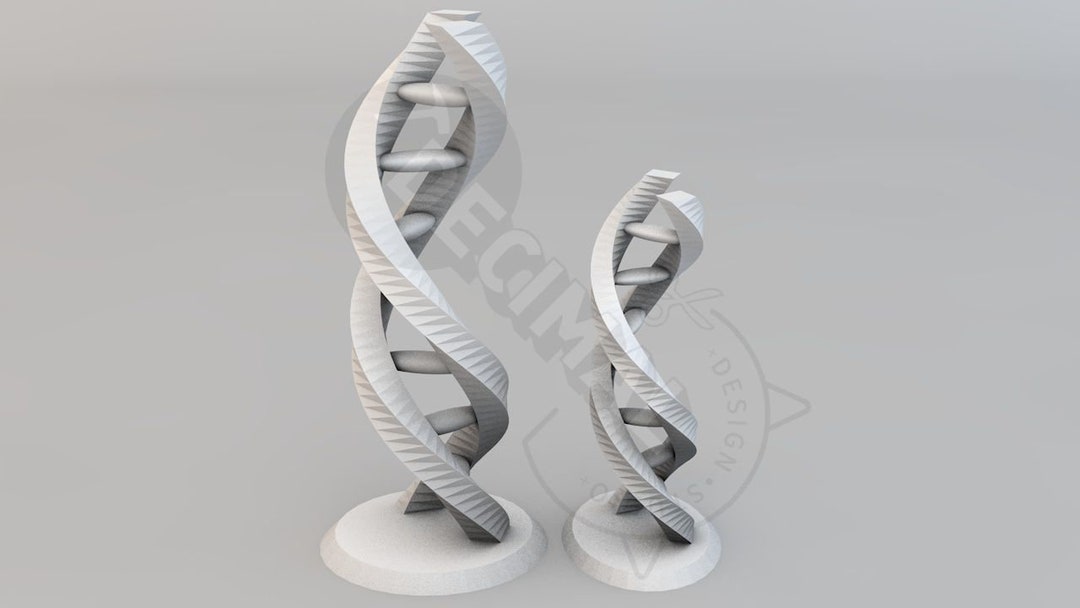 3D DNA Model Statue: Medical STL Print (digital Download) - Etsy