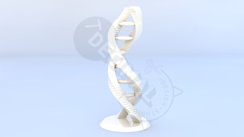 3D DNA Model Statue: Medical STL Print (digital Download) - Etsy