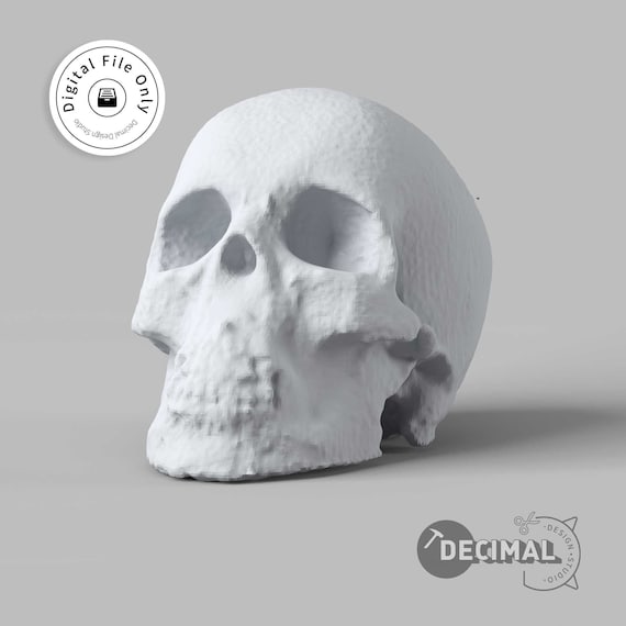 Skull 3D Model Skull Statue STL 3D Print Model Skull Model | Etsy
