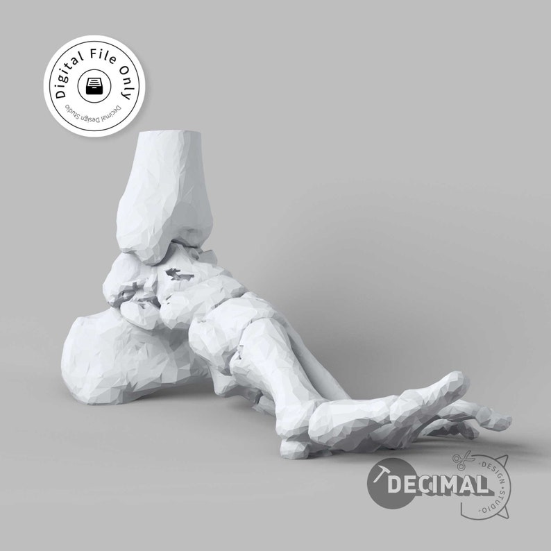 Talus | Bone | Medical | Talus Model | Bone Model | Talus 3D Model ...