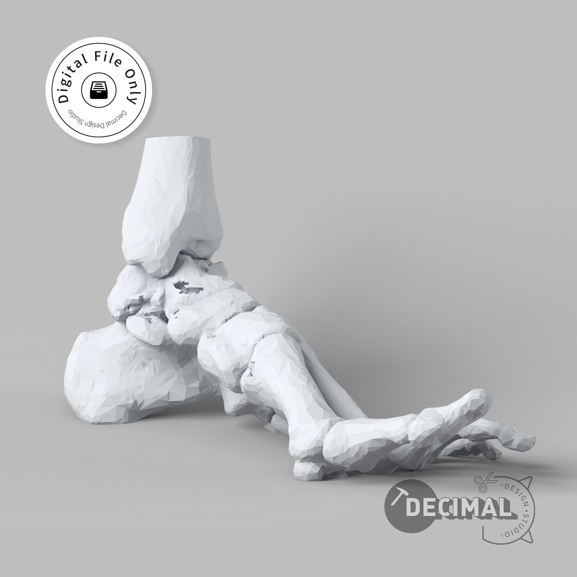 Talus | Bone | Medical | Talus Model | Bone Model | Talus 3D Model ...