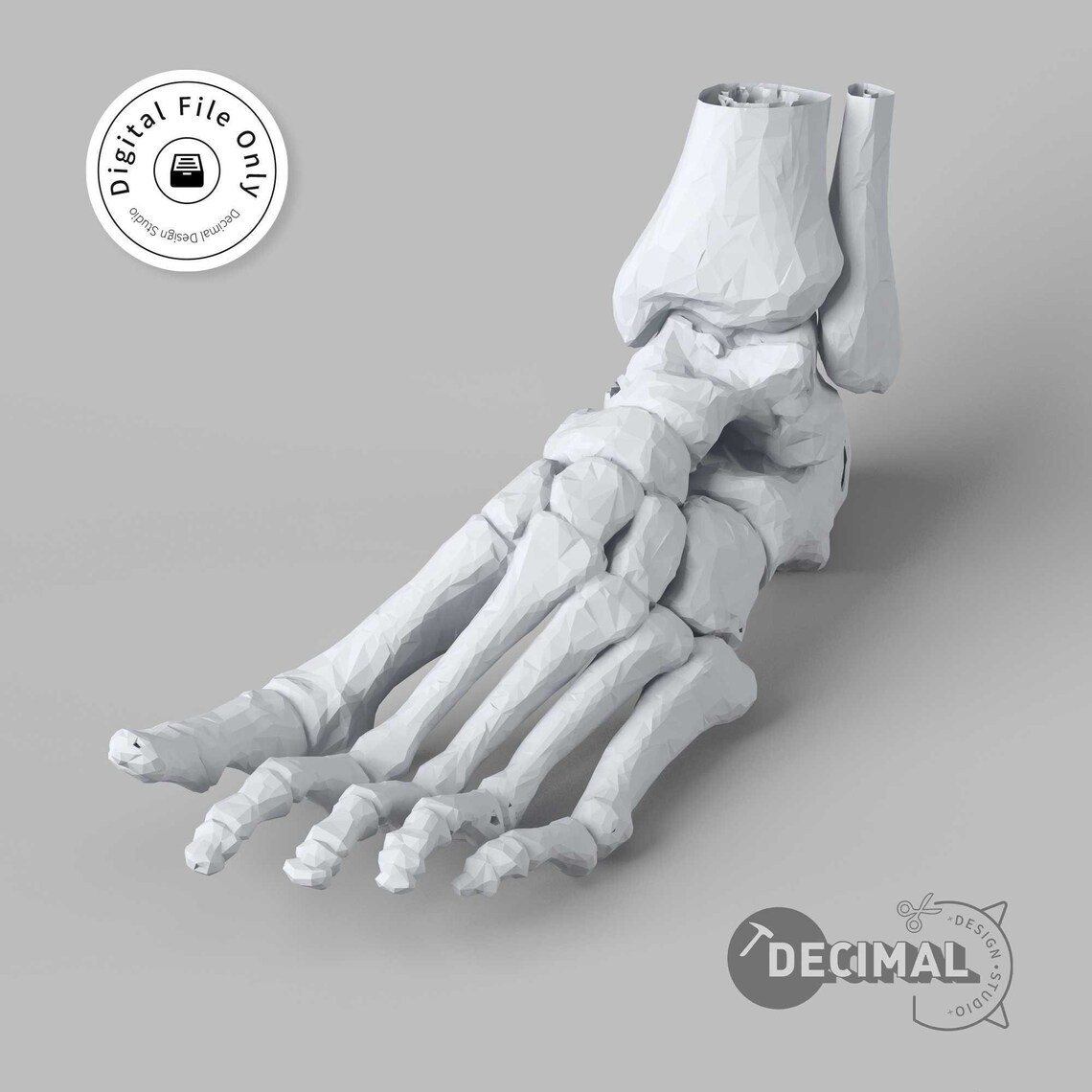 Talus | Bone | Medical | Talus Model | Bone Model | Talus 3D Model ...