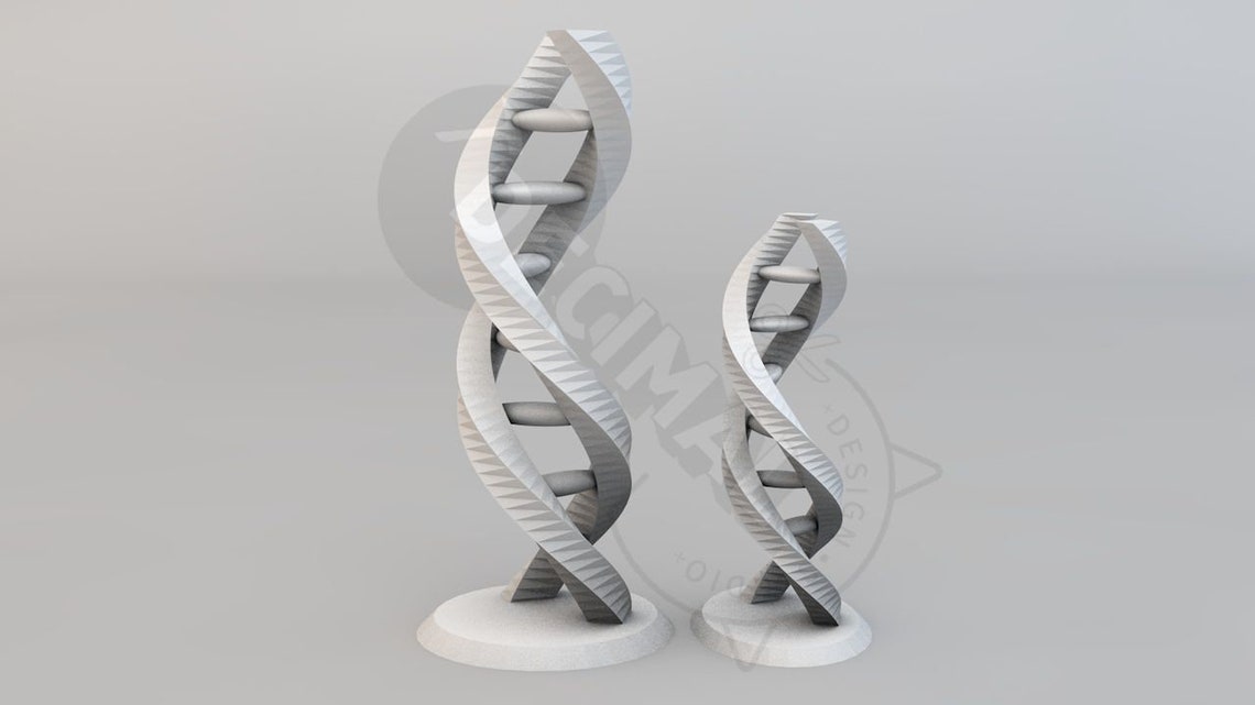 DNA 3D Model | DNA Statue STL 3D Print Model | Medical 3D Model | Free ...