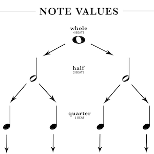 Music Note Value Chart, Note Values and Names, Beats, Rests, Notes ...