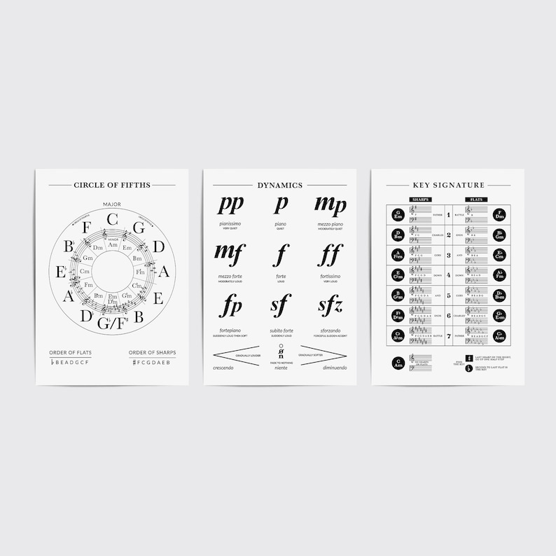 Music Theory Poster Set of 12: Classic Music Room Decor (digital ...