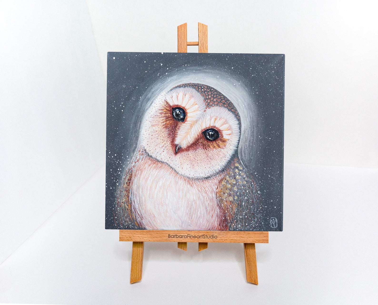 Cute Barn Owl Original Canvas Painting Baby Bird Acrylic - Etsy