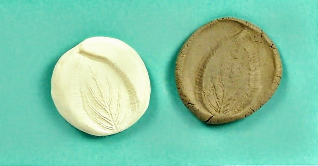 LEAF PRESS MOLD Ceramic, Paper Casting, Polymer, Wet, Paper Clay ...