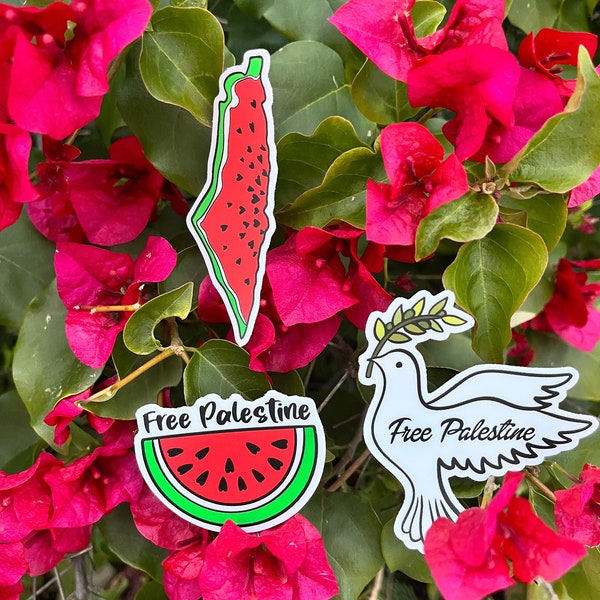 Palestine Sticker Water Bottle - Etsy