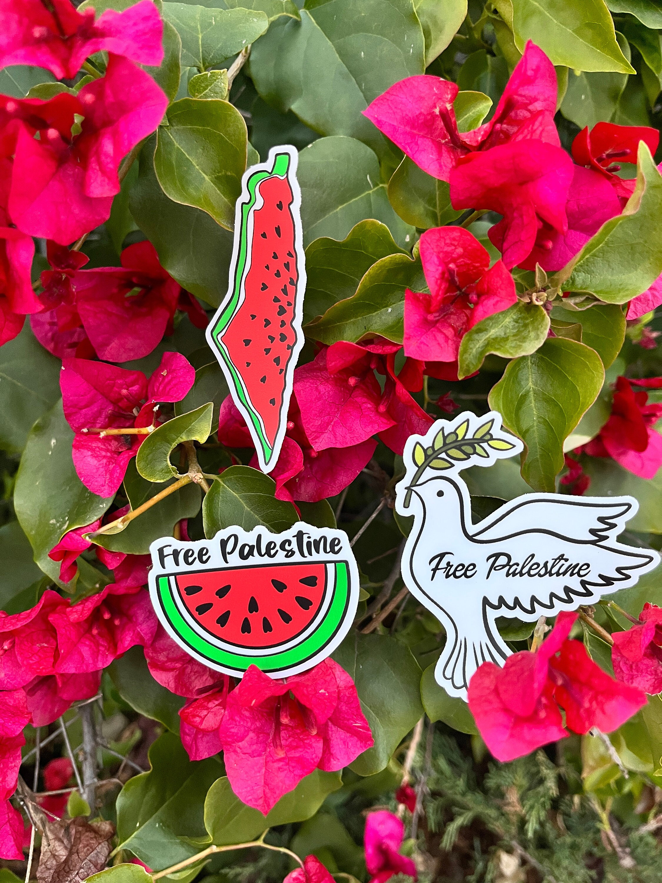 Watermelon Free Palestine Waterproof Sticker | Proceeds to Gaza ...