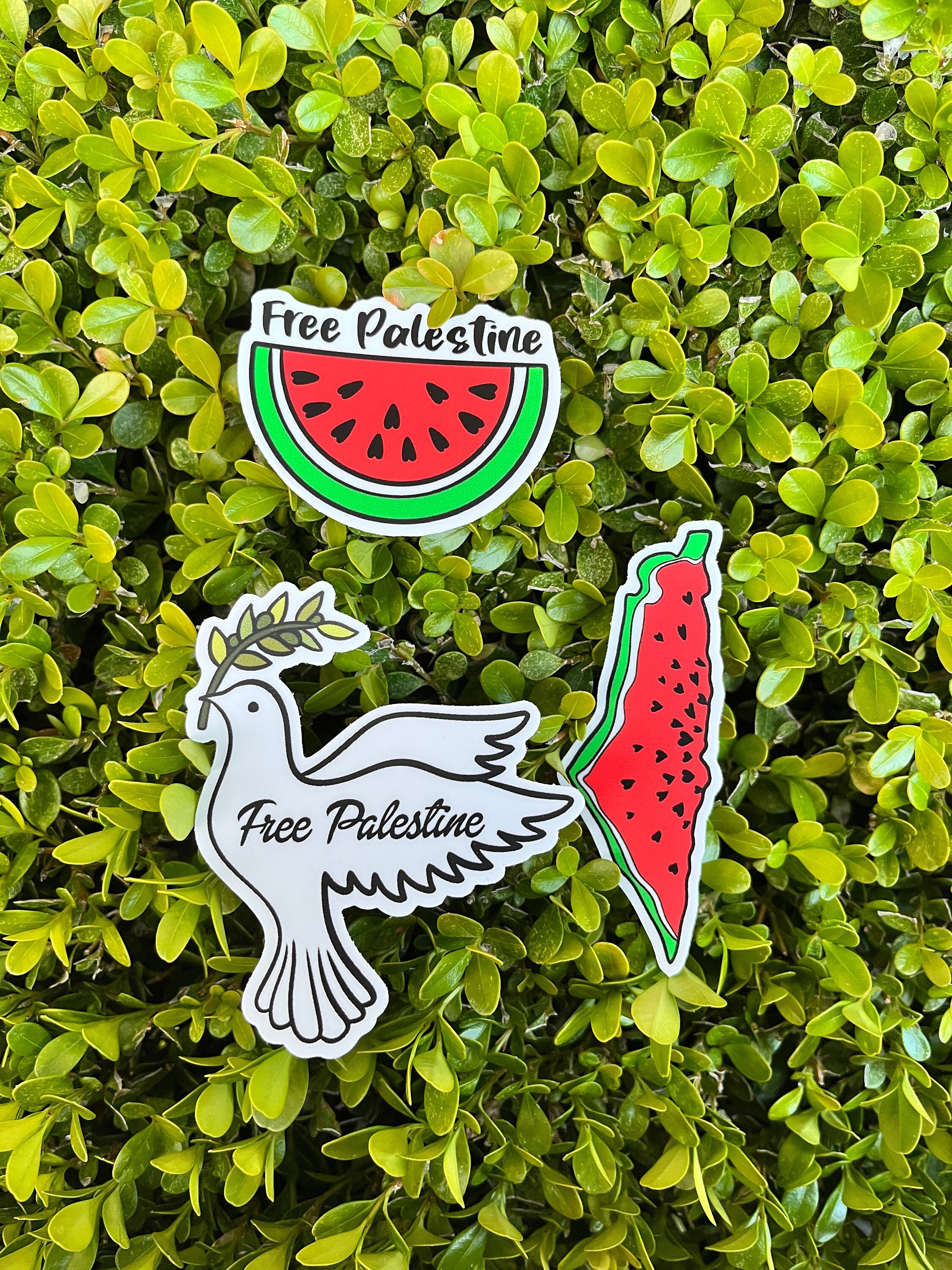 Watermelon Free Palestine Waterproof Sticker | Proceeds to Gaza ...
