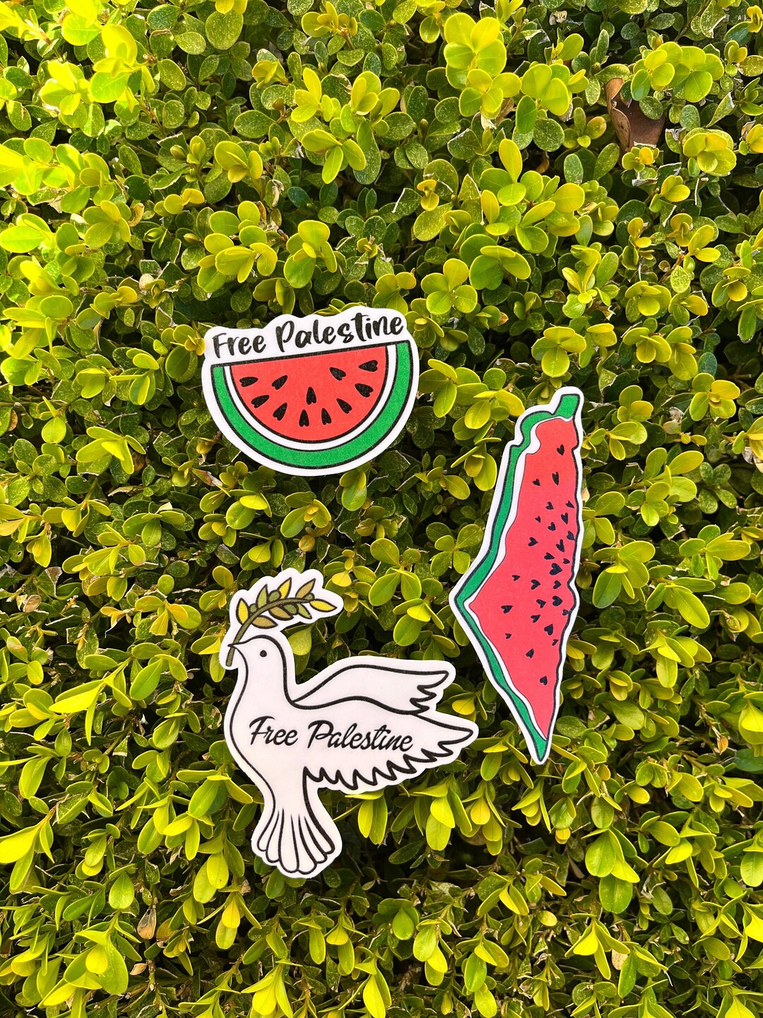 Watermelon Free Palestine Sticker Proceeds Go to Gaza Laptop Hydroflask ...