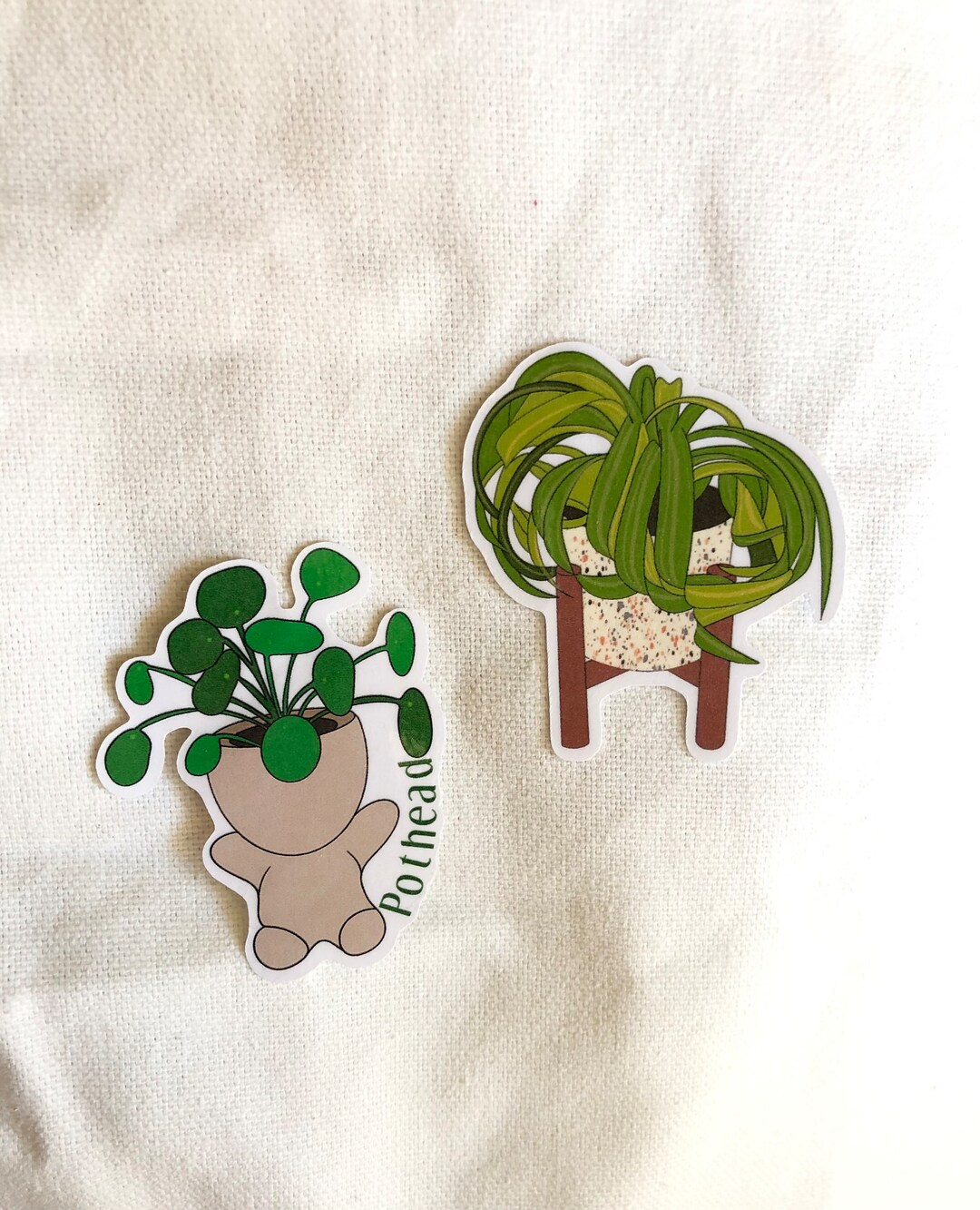 Plant Sticker Pack | Pothead | Spider Plant | Pilea Peperomia Plant Die ...