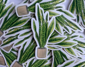 Snake Plant Sticker, Houseplant Vinyl Stickers, Water Bottle Stickers ...