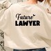 Law Student Sweatshirt, Groovy Lawyer Hoodie, Cute Law Student Gifts ...