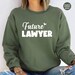 Law Student Sweatshirt, Groovy Lawyer Hoodie, Cute Law Student Gifts ...