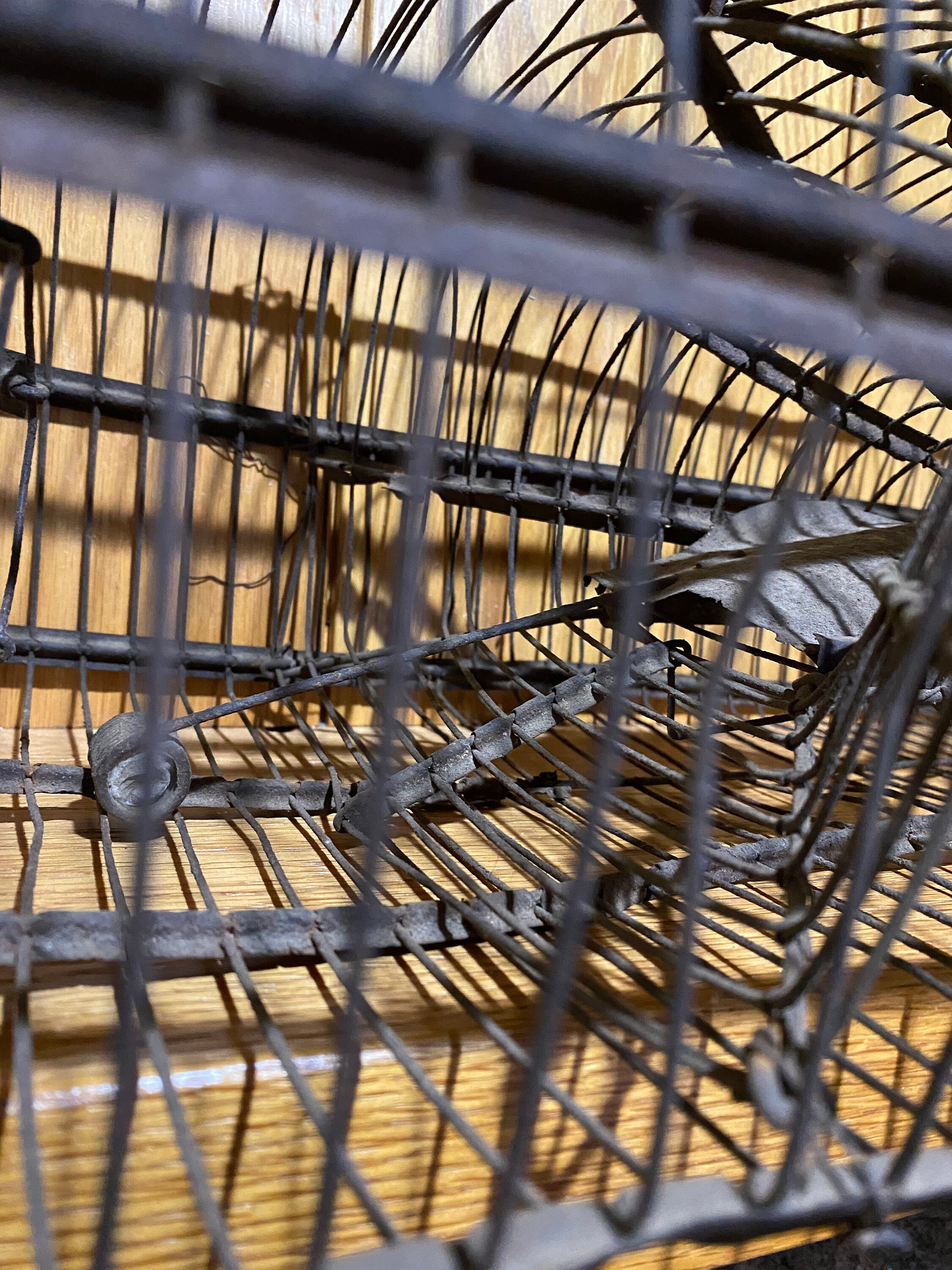 Victorian Mouse Live Trap Wire Cage Humane Trap - Etsy