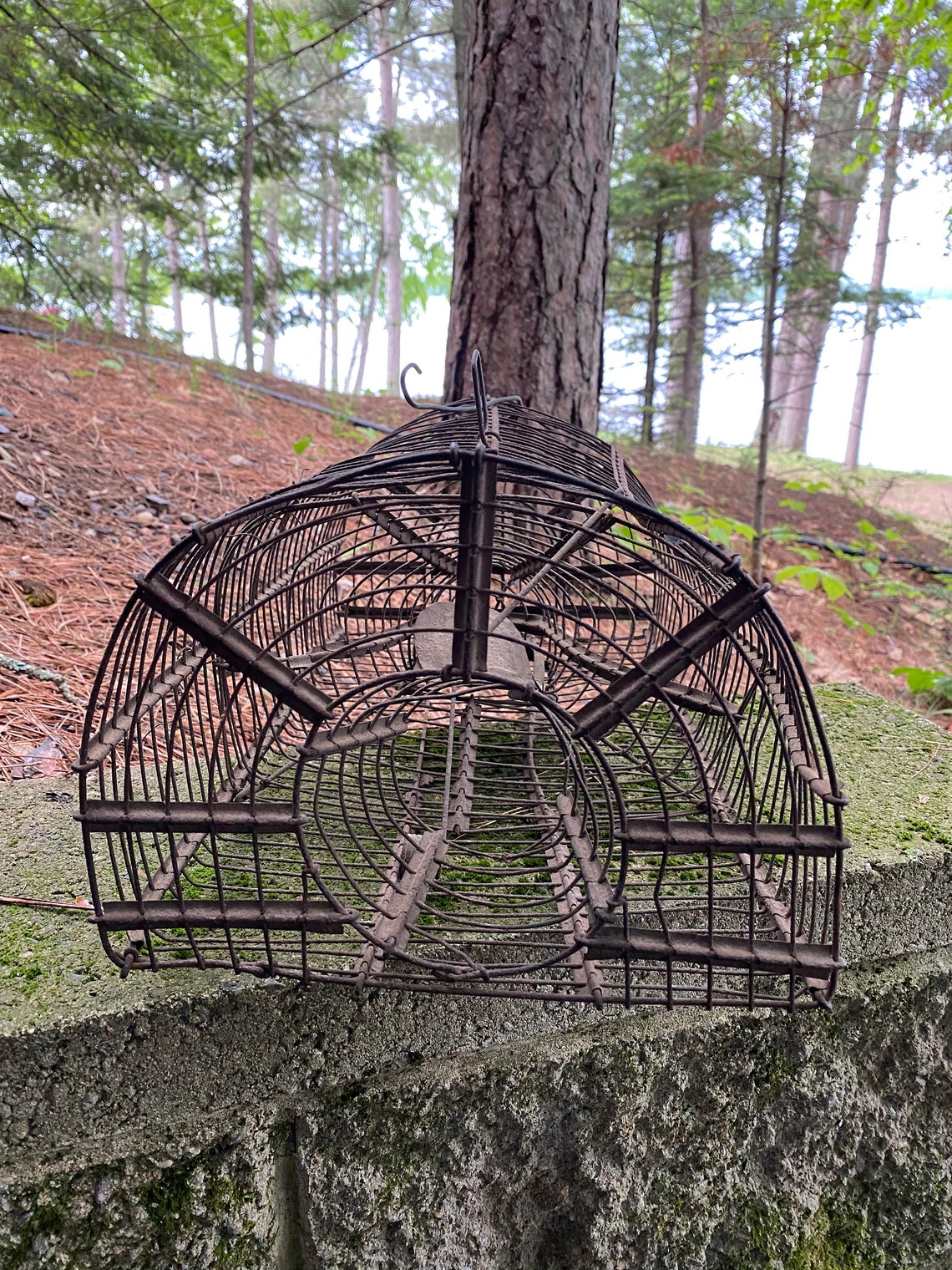 Victorian Mouse Live Trap Wire Cage Humane Trap - Etsy