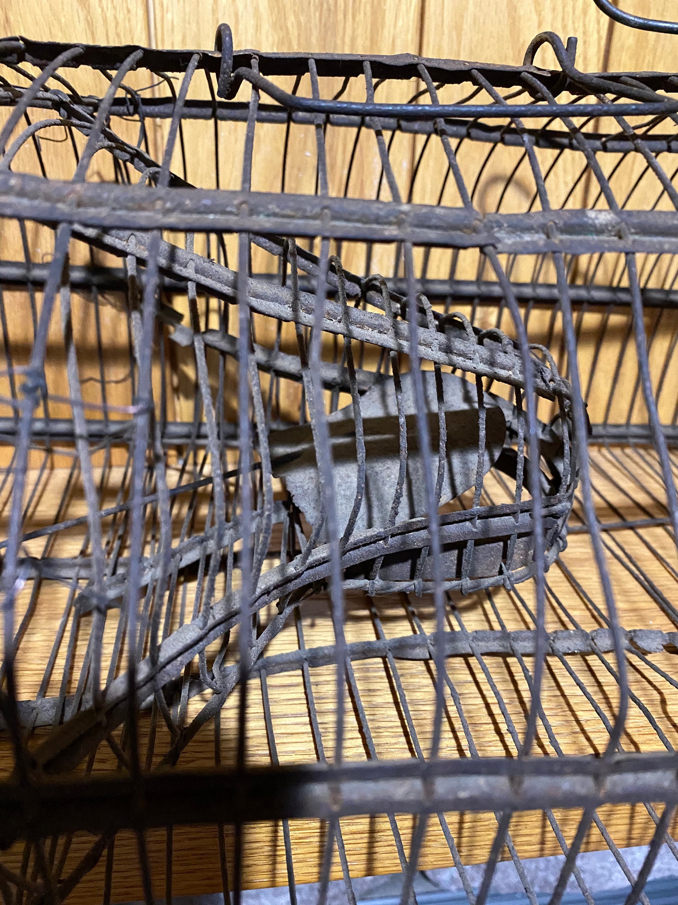 Victorian Mouse Live Trap Wire Cage Humane Trap - Etsy