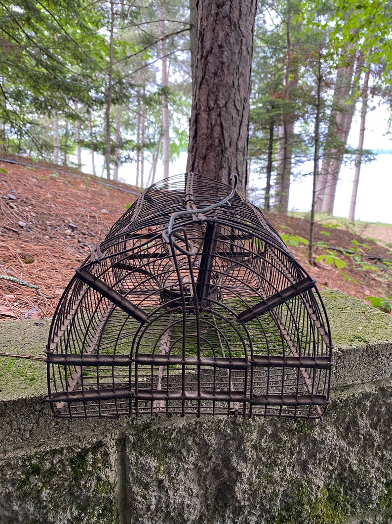 Victorian Mouse Live Trap Wire Cage Humane Trap - Etsy