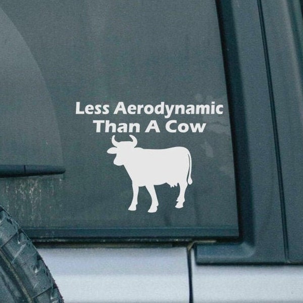 Funny Aerodynamic - Etsy