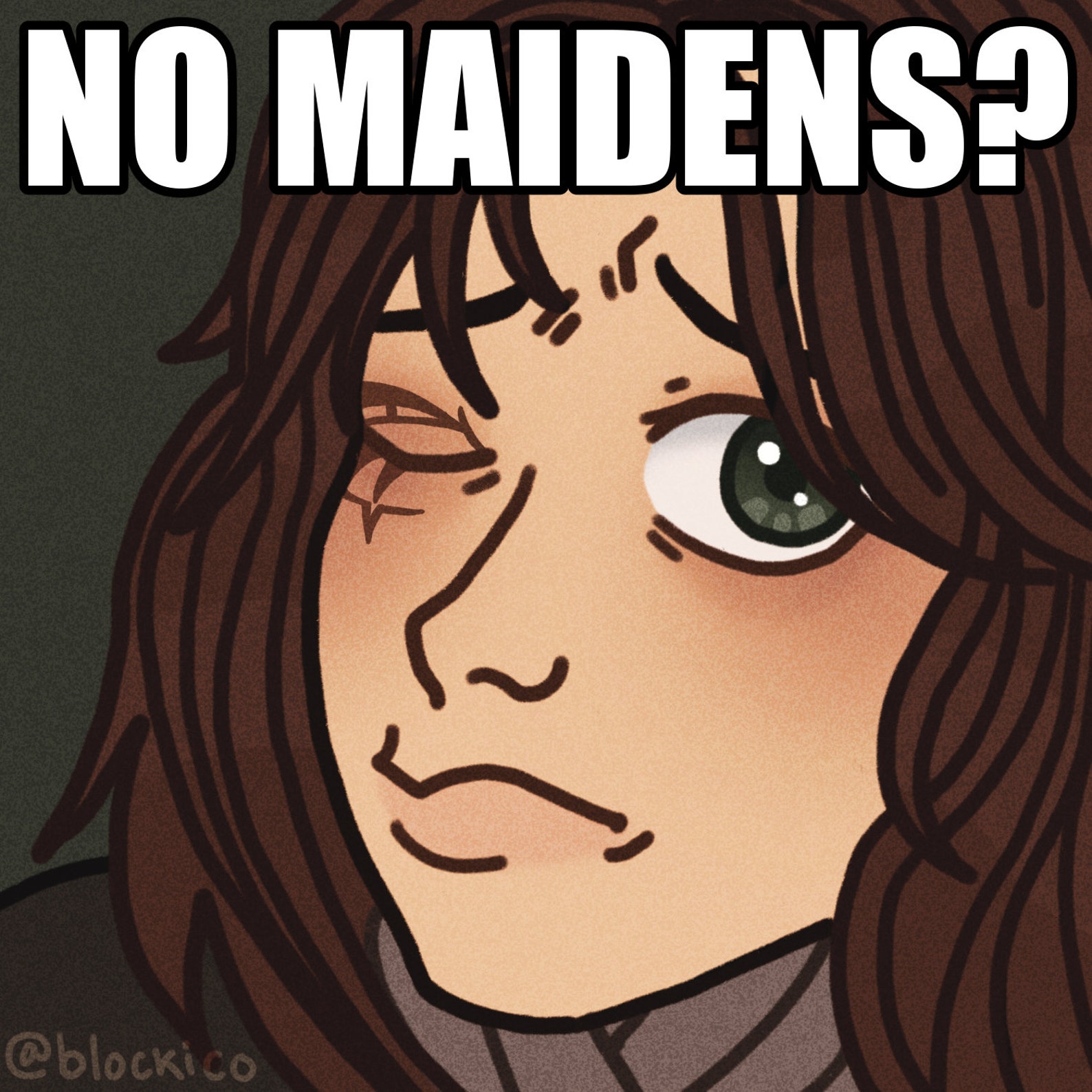 No Maidens Matte Waterproof Vinyl Maidenless Meme Etsy