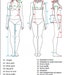 PDF Basic Dress Block Pattern 8 Sizes PDF Sewing Pattern basic Bodice ...