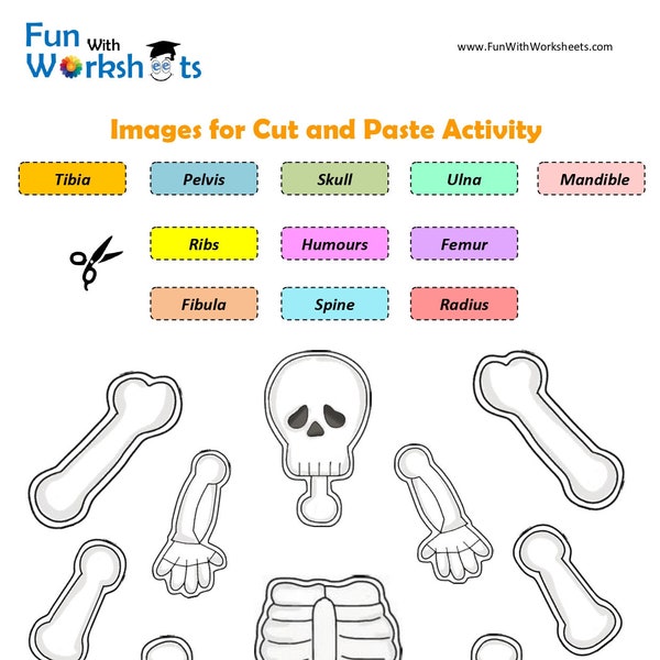 Build a Bone Toy - Etsy