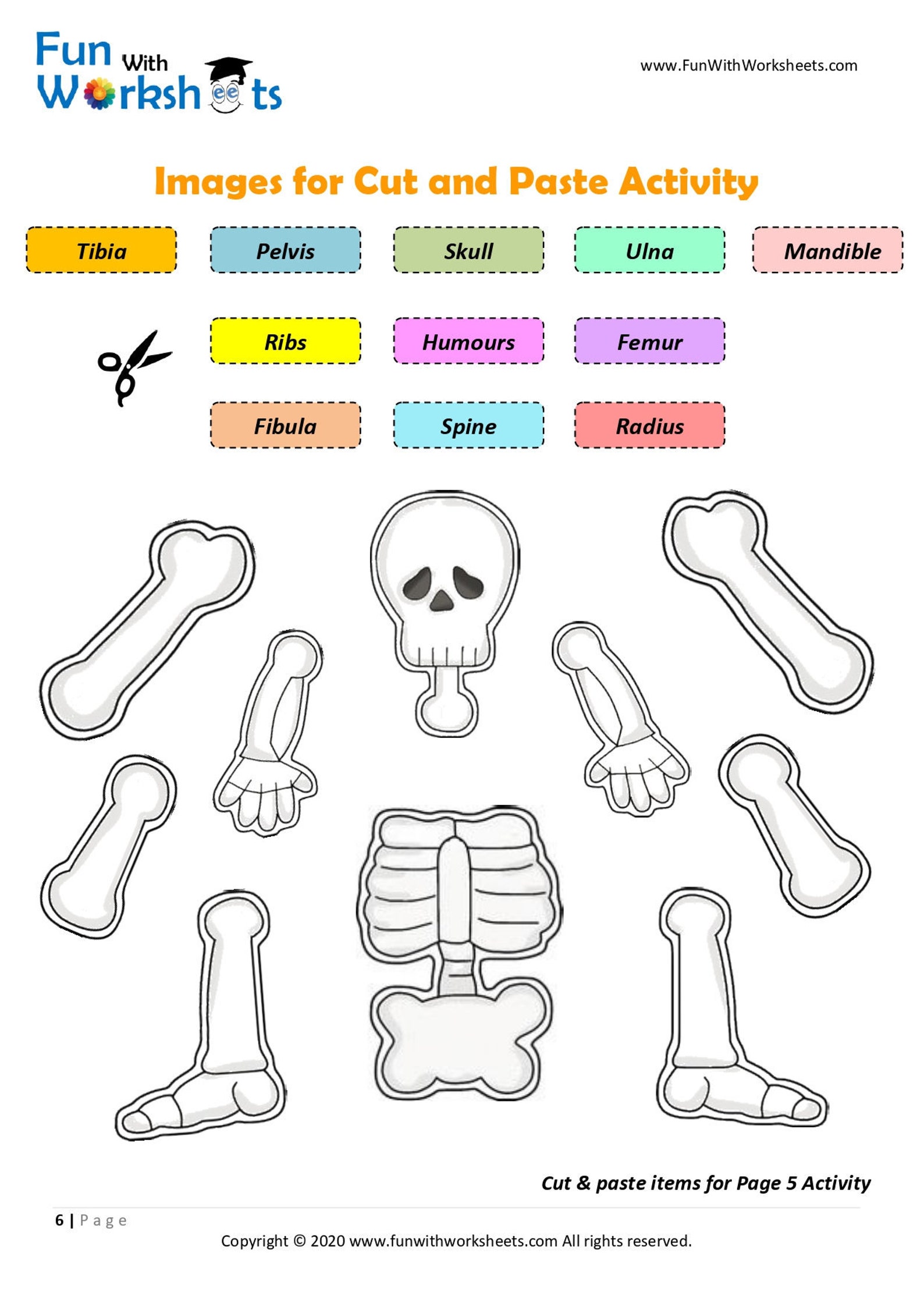 Skeleton Anatomy Activity | Printable Human Bones Lesson | Moving ...