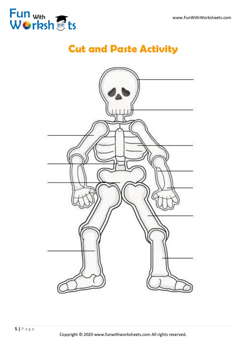 Skeleton Anatomy Activity | Printable Human Bones Lesson | Moving ...
