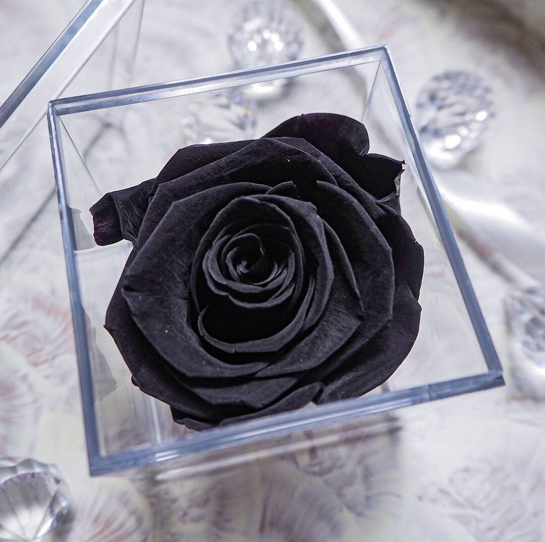 Black Everlasting Rose in Acrylic Box - Etsy