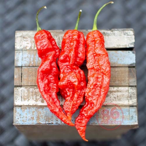 King Naga Pepper Seeds - Etsy