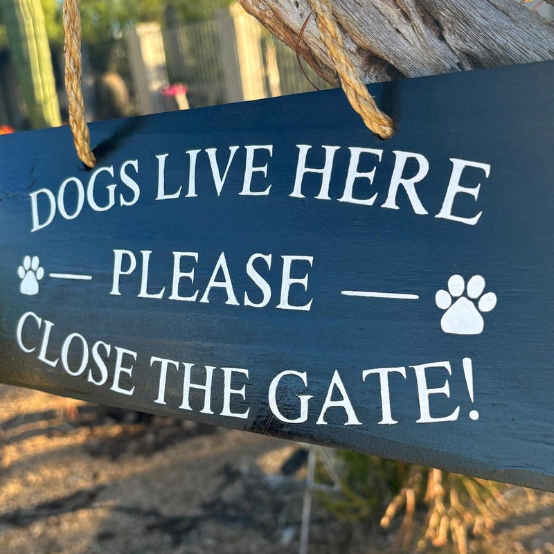 Dog Gate - Etsy