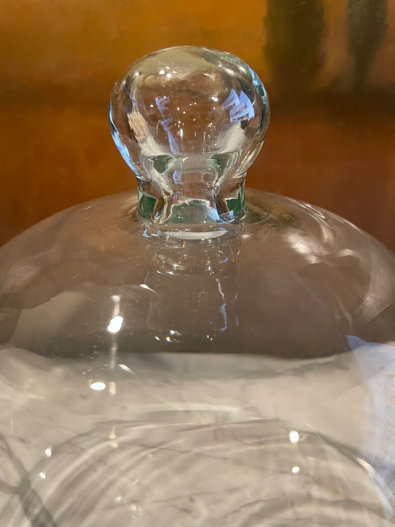 Glass and Slab Wood Cheese Cloche Cover / Al Fresco Dining / - Etsy