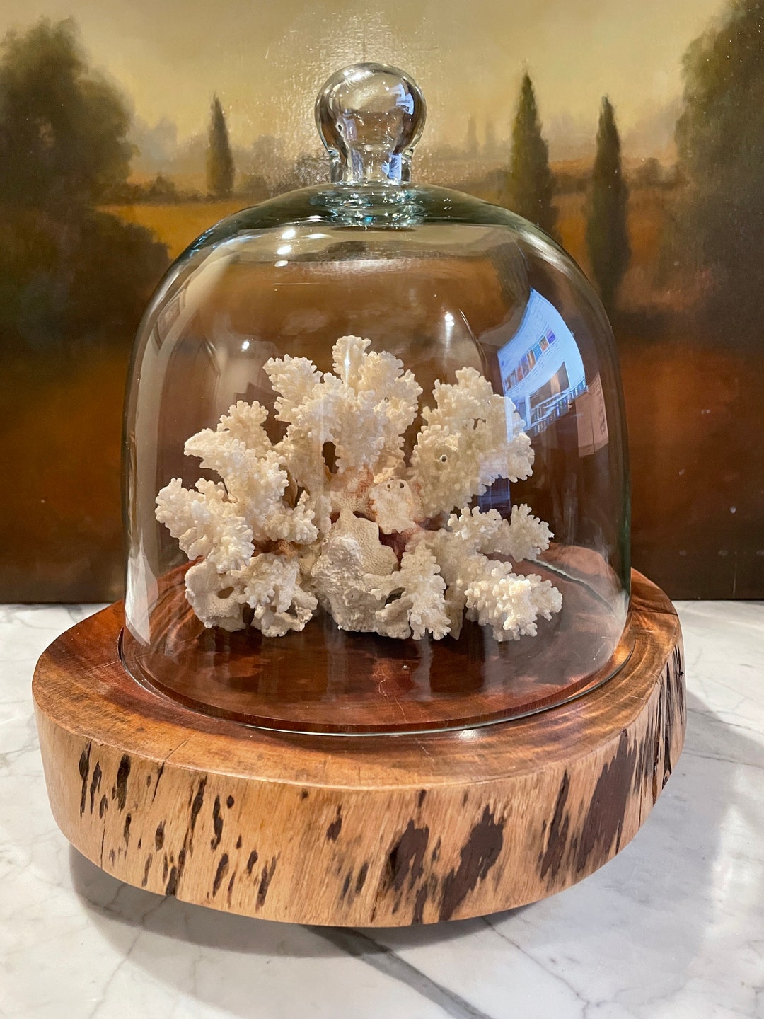 Glass and Slab Wood Cheese Cloche Cover / Al Fresco Dining / French ...