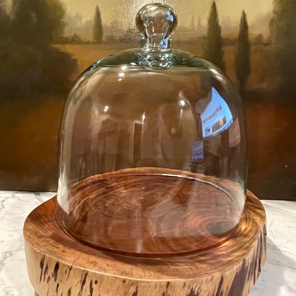Cheese Cloche - Etsy