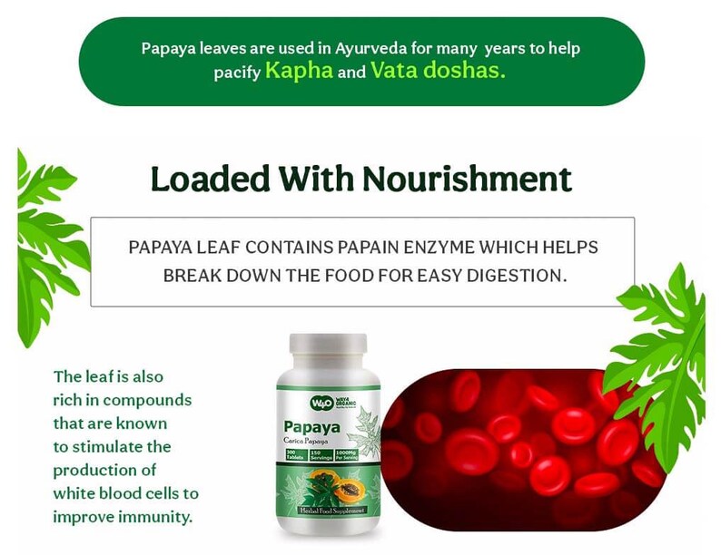 Papaya Leaf Extract Capsules (tablets) - 300 Pills, 150 Servings, 1000 ...