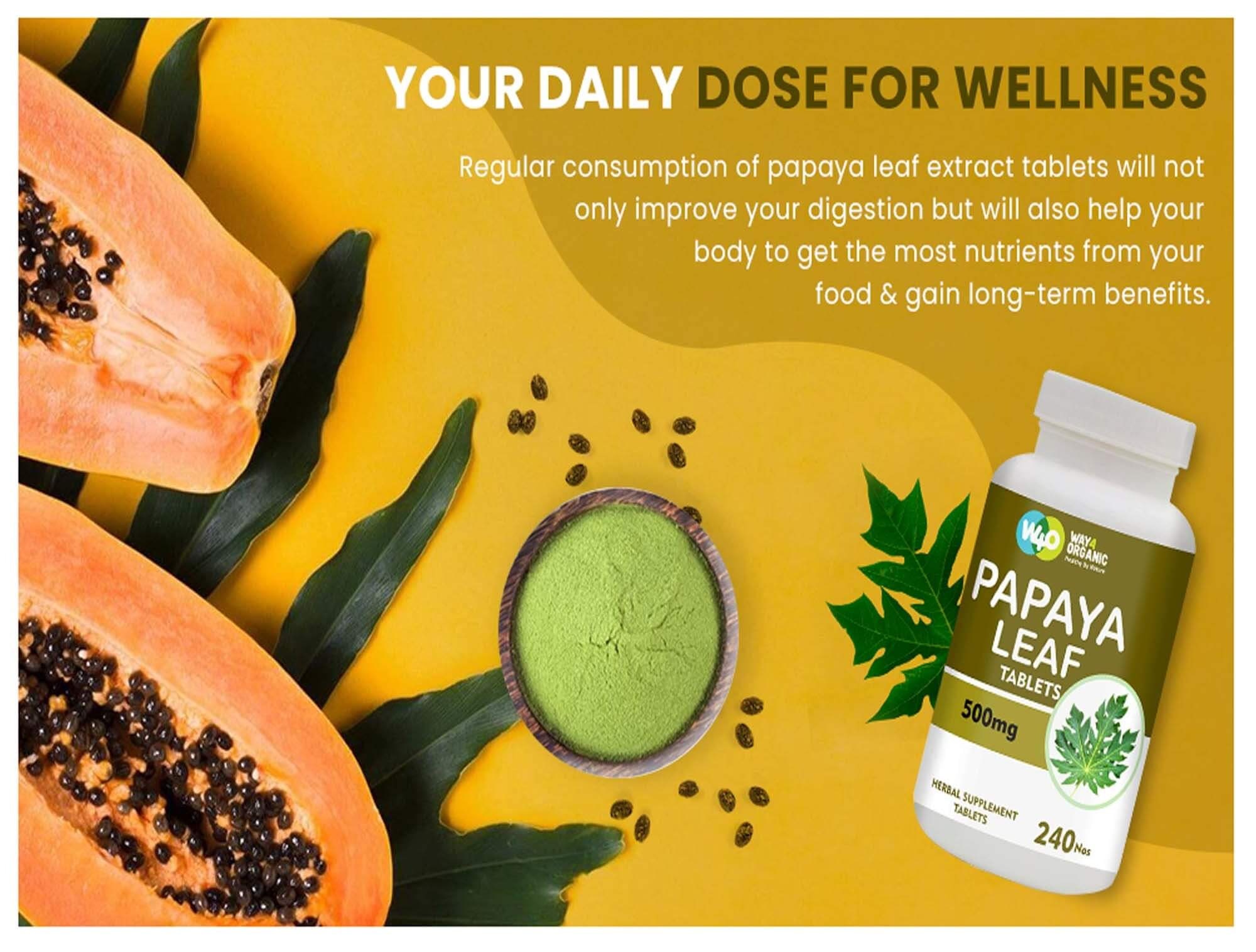 Papaya Raw Leaf Capsules (tablets) - 240 Pills, 120 Servings, 1000 Mg ...