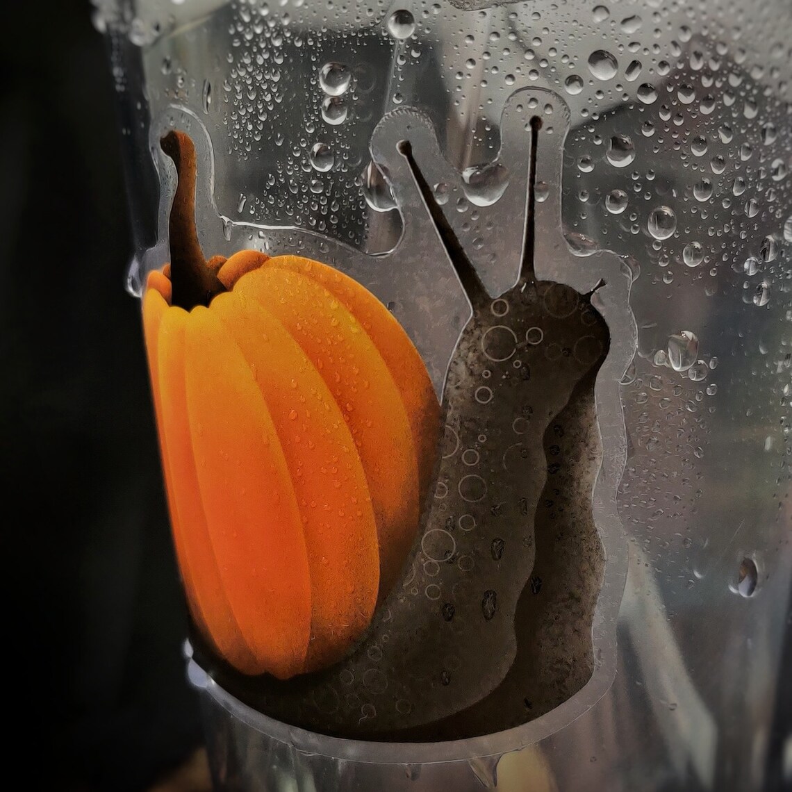 Moon Moth Terrarium Sticker Holographic Sticker Moth Sticker - Etsy