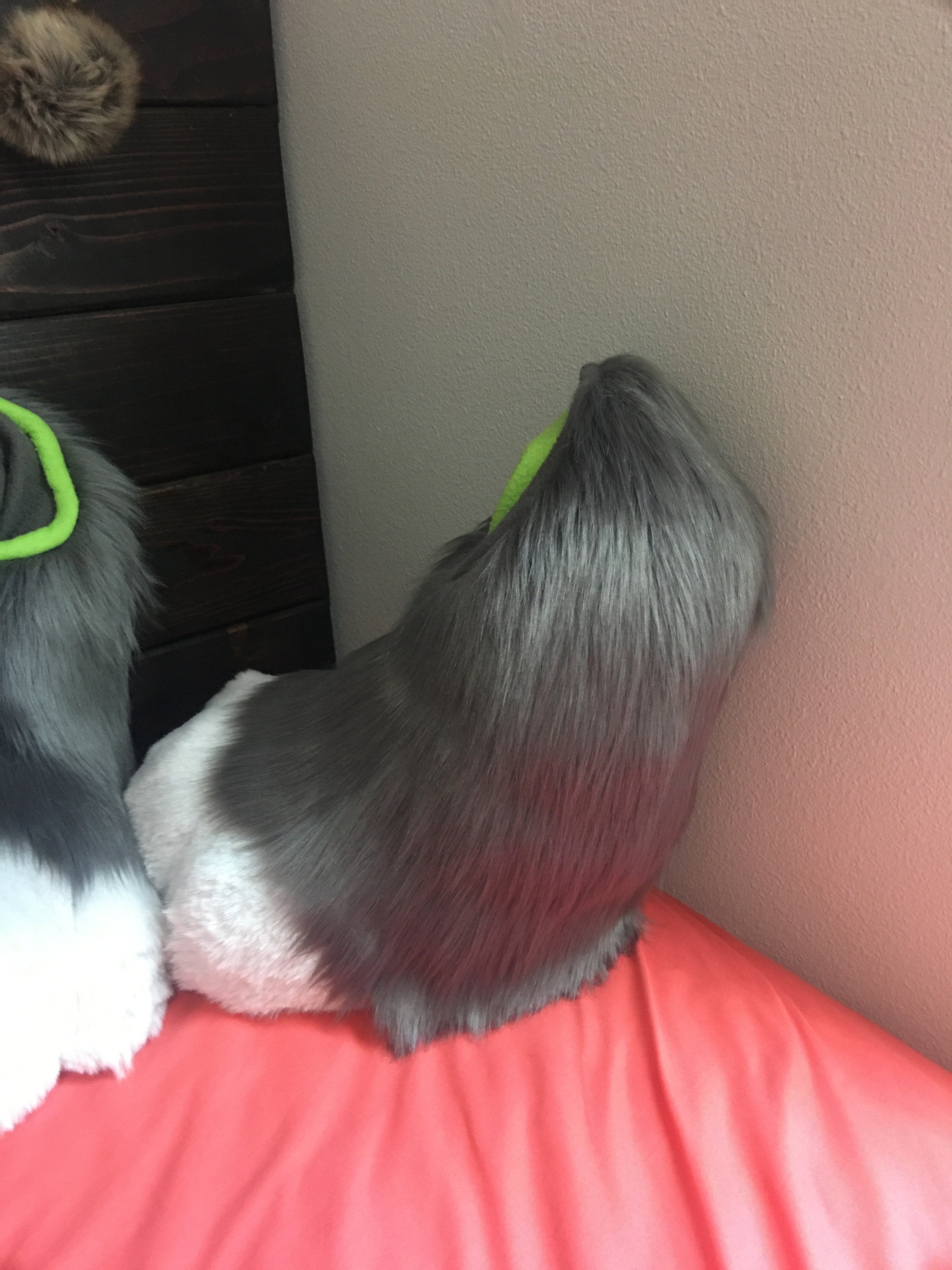 Digi Feet Paws | Etsy