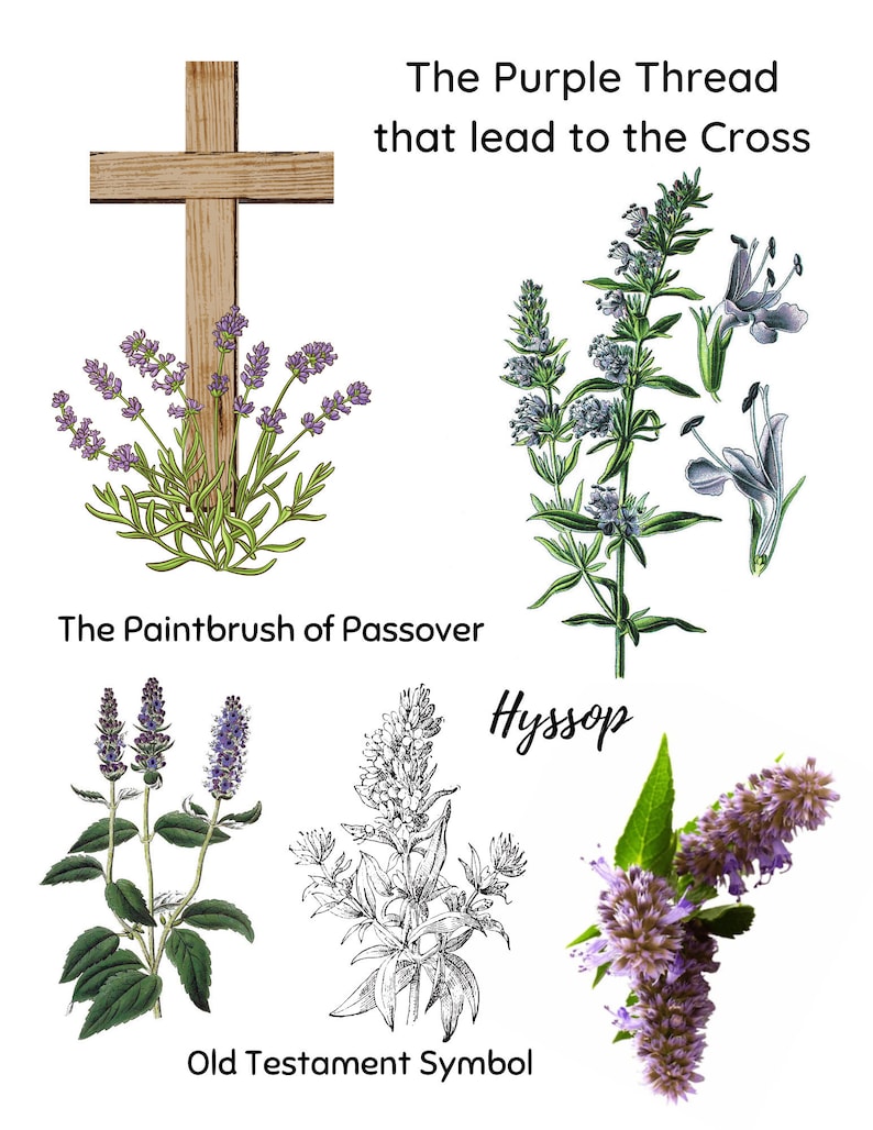 Bible Journaling Printable Set on Hyssop Illustrated Faith | Etsy