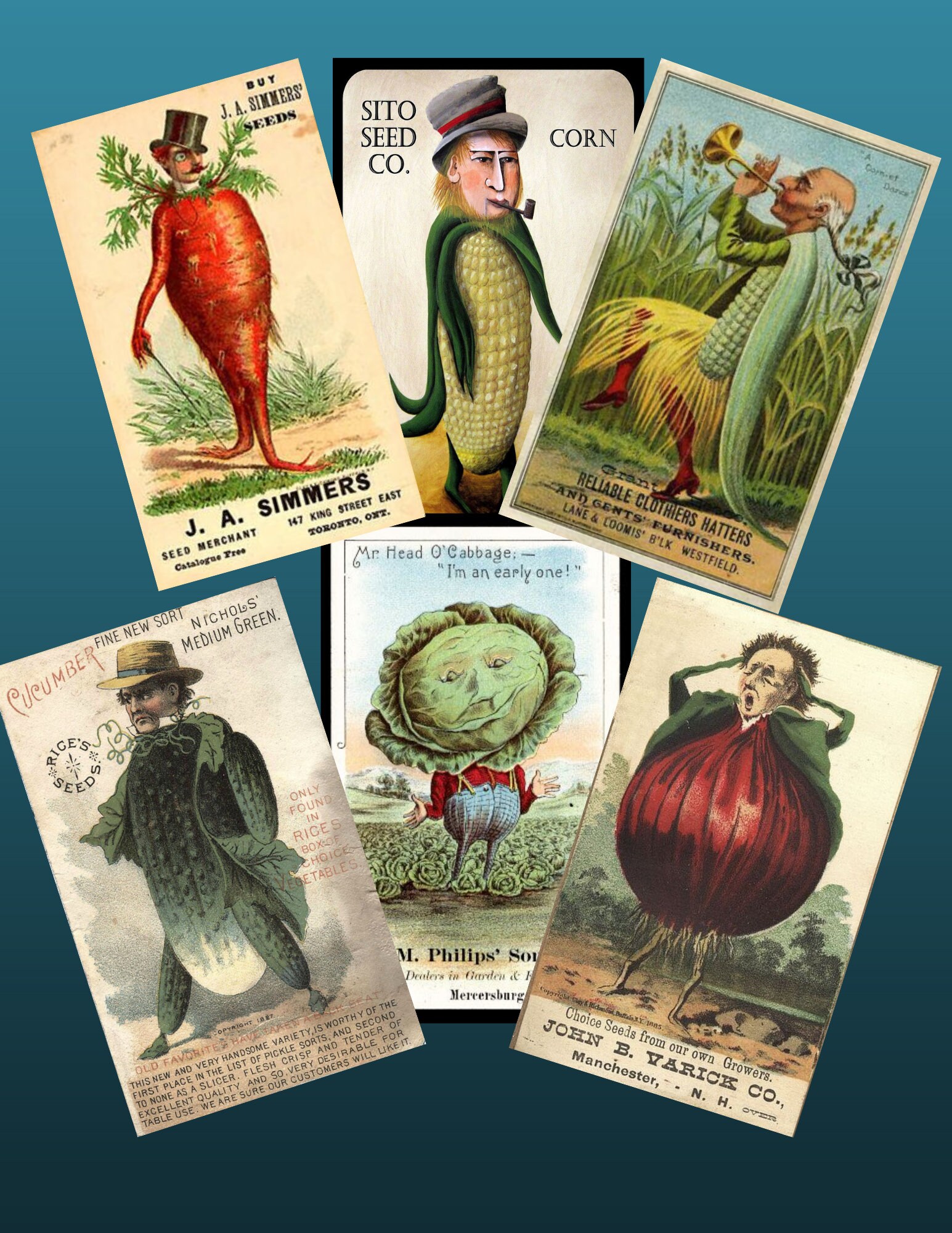 Vintage Victorian Trading Cards of Vegetable People for Junk | Etsy