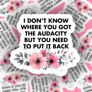 Don’t Know Where You Got the Audacity but You Need to Put It Back Vinyl ...