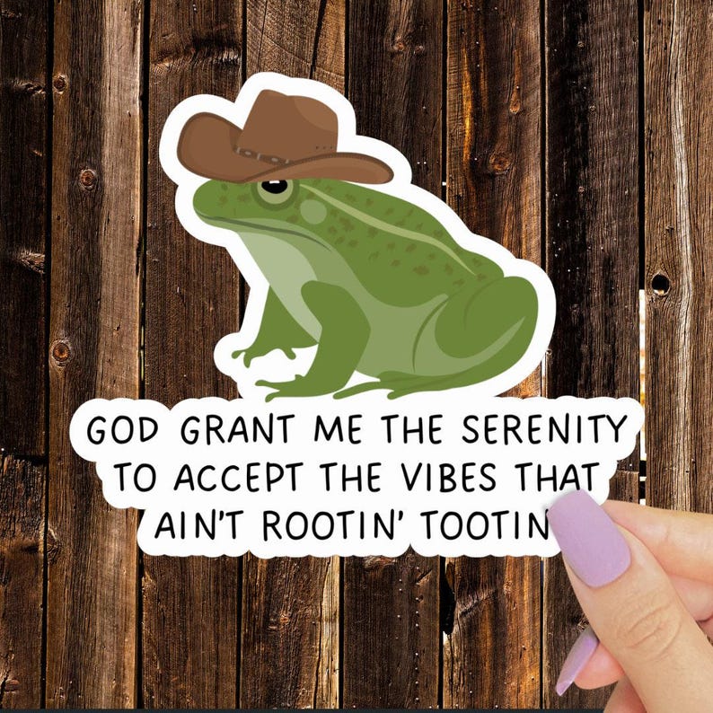 Cowboy Frog Sticker, God Grant Me the Serenity to Accept Vibes Aint ...