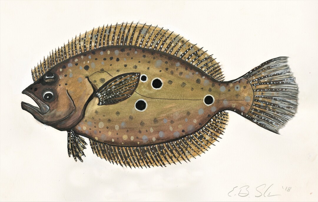 Flounder Fish Watercolor Original Painting Print by Brenton Sadreameli ...